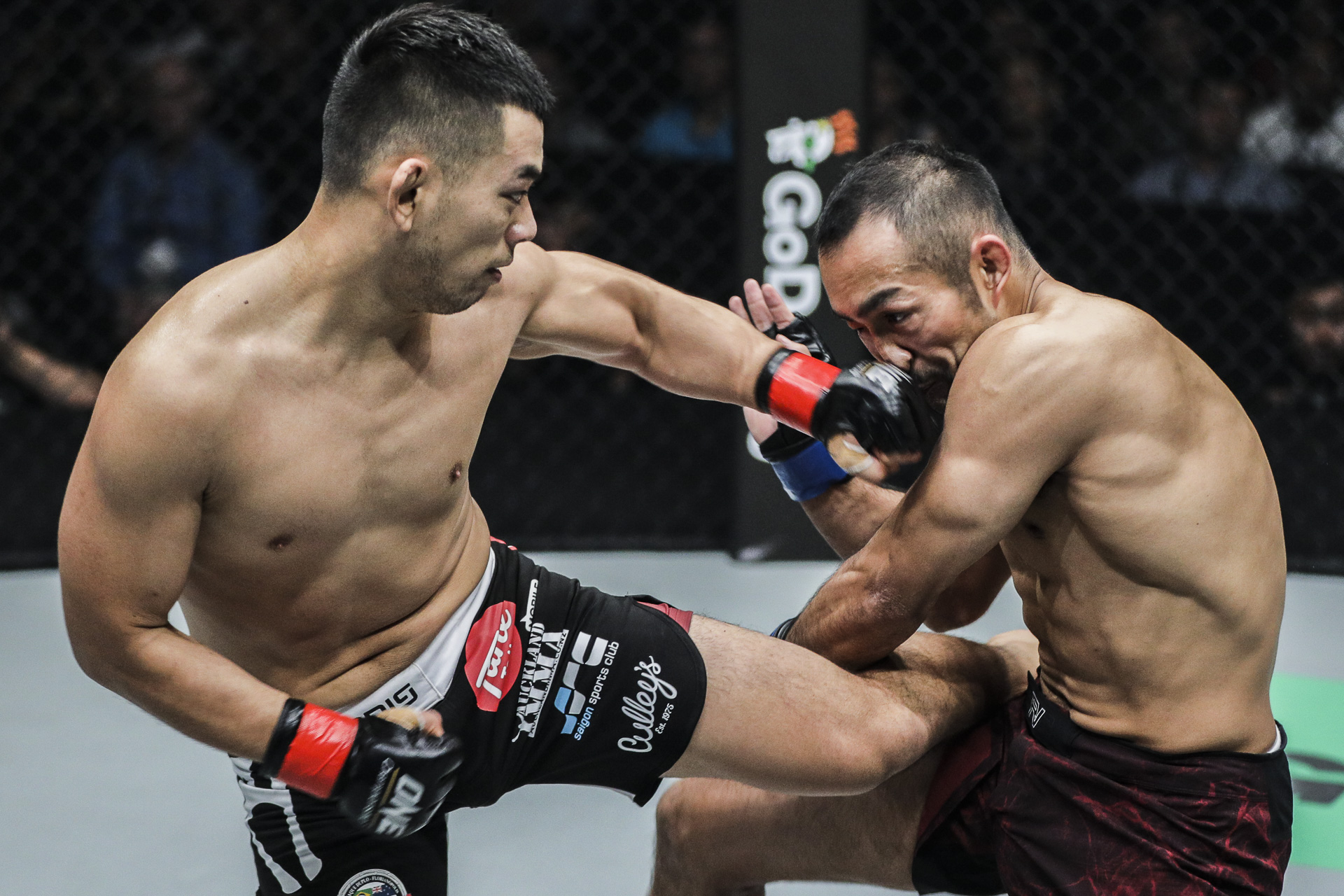 Martin “The Situ-Asian” Nguyen Is The New ONE Featherweight World ...